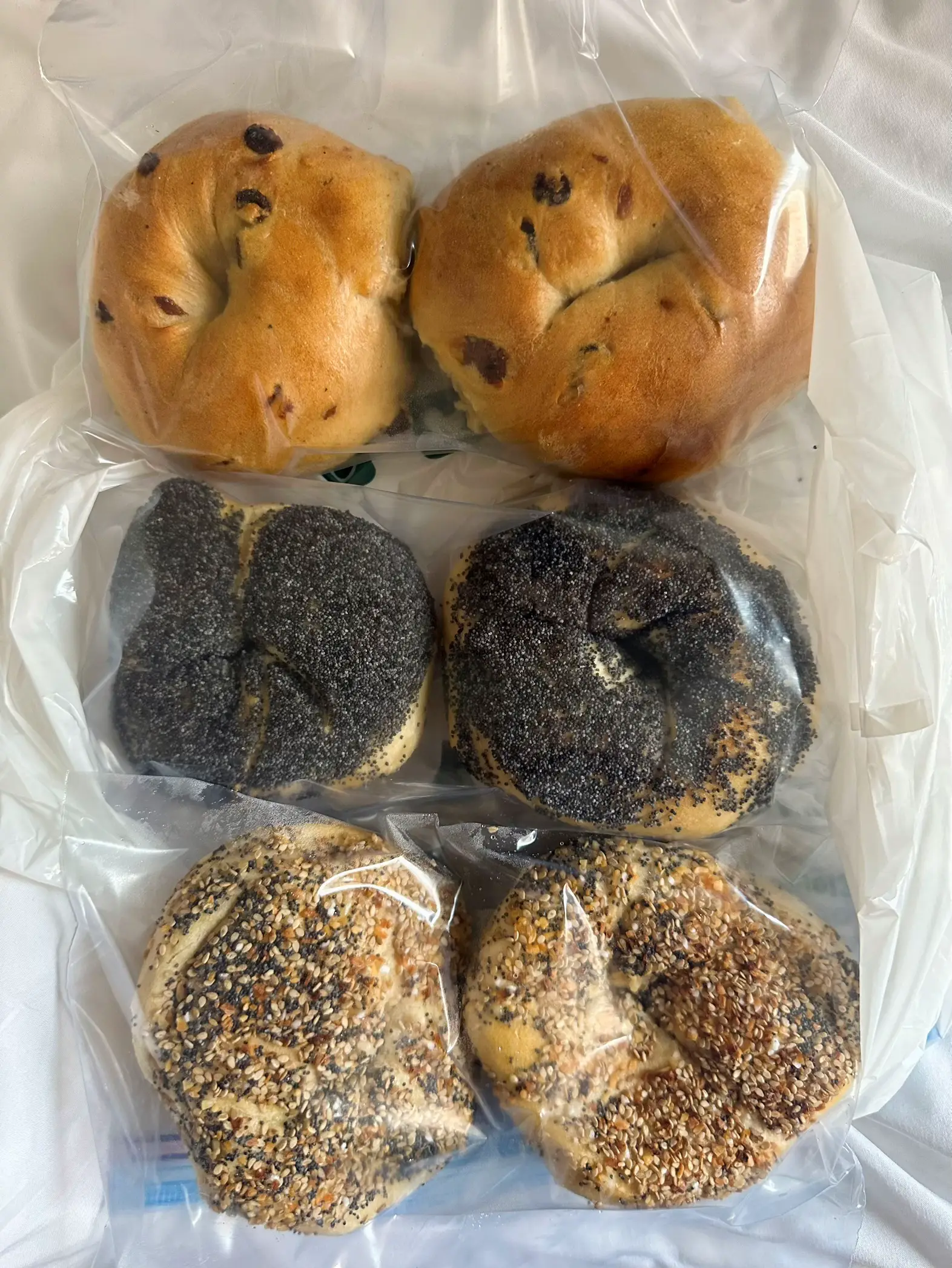 best bagels in nyc?!! 🥯🫶 | Gallery posted by KATIE G | Lemon8