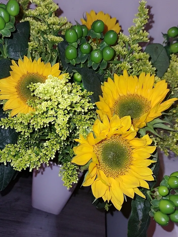 Sunflowers are nature's way of saying⬇️ | Gallery posted by Thickmea | Lemon8