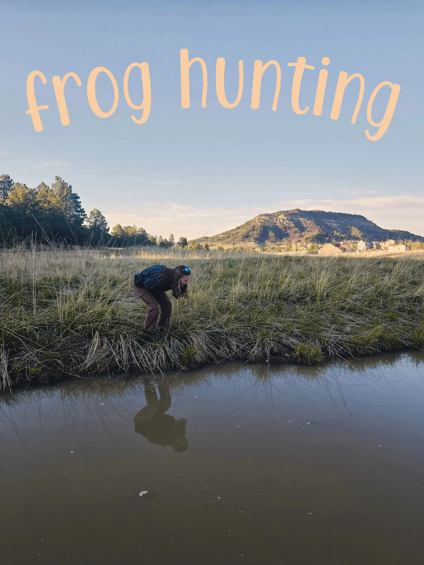 went frog hunting! 💚🤎 | Gallery posted by Katelyn | Lemon8