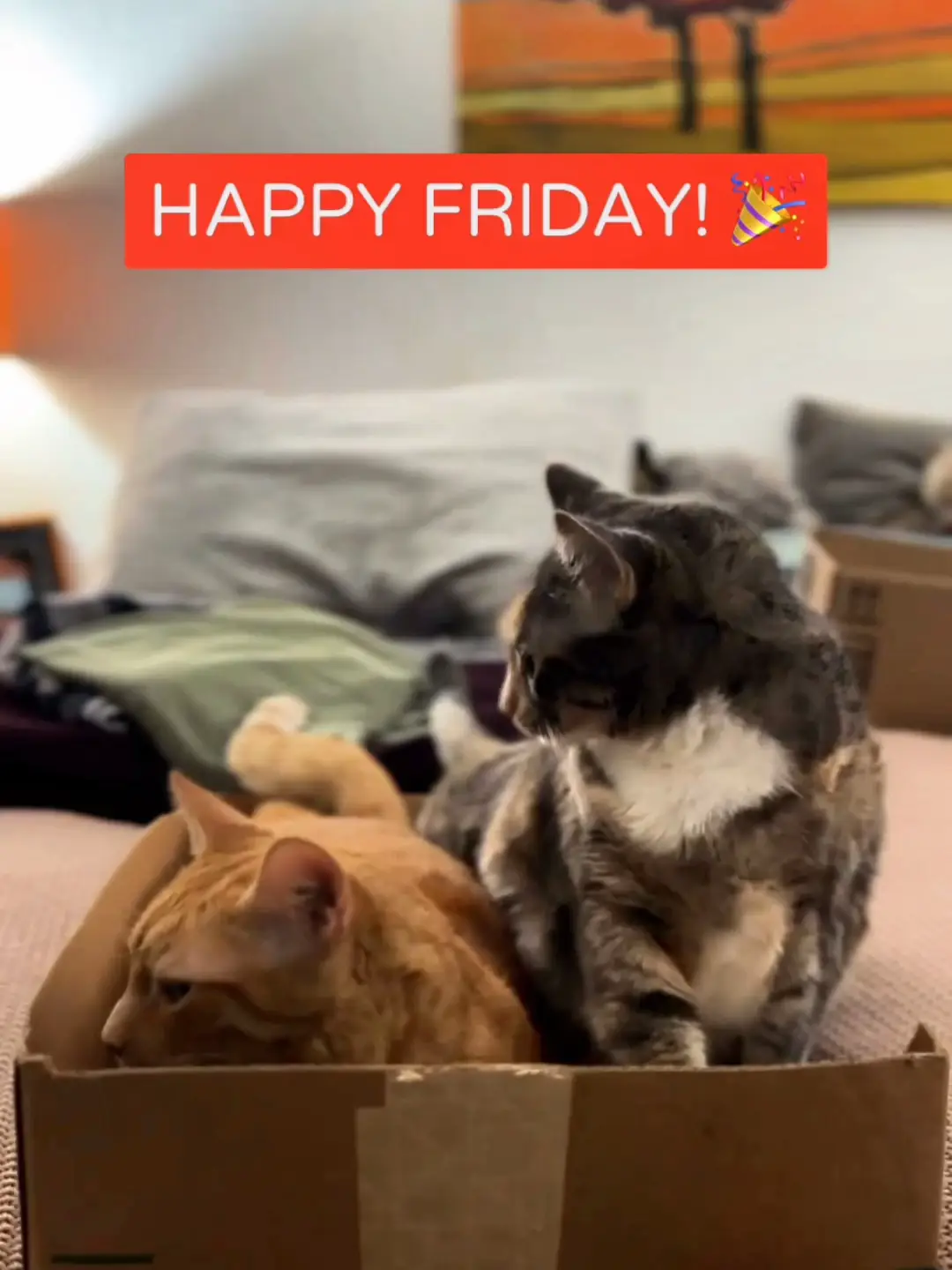 Happy Friday | Video published by Chad Kawalec | Lemon8