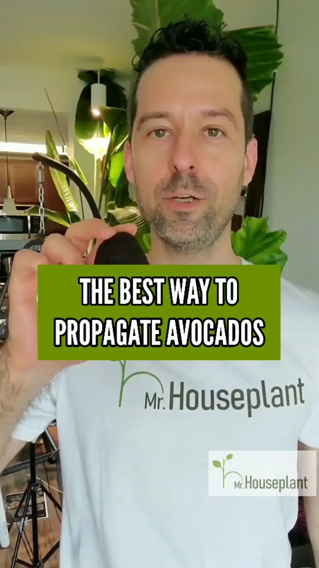 Avocado propagation | Video published by Mr. Houseplant | Lemon8