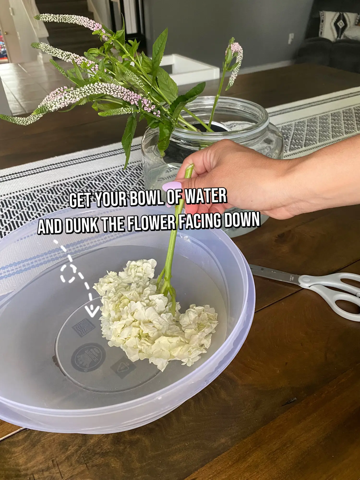 Hydrangeas 101 | Gallery posted by justgessc| GESS | Lemon8