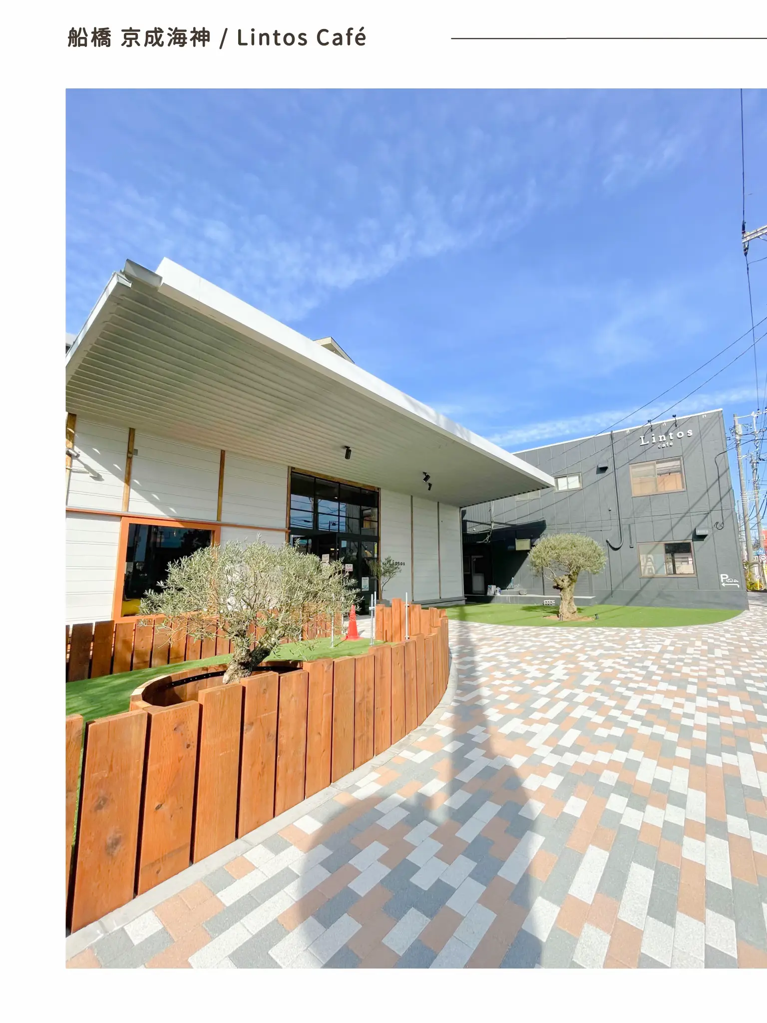 【船橋】ワンちゃん🐶ベビちゃんウェルカム🍼♡Lintos Café | しおR焙煎士🥨東京カフェ紹介が投稿したフォトブック | Lemon8