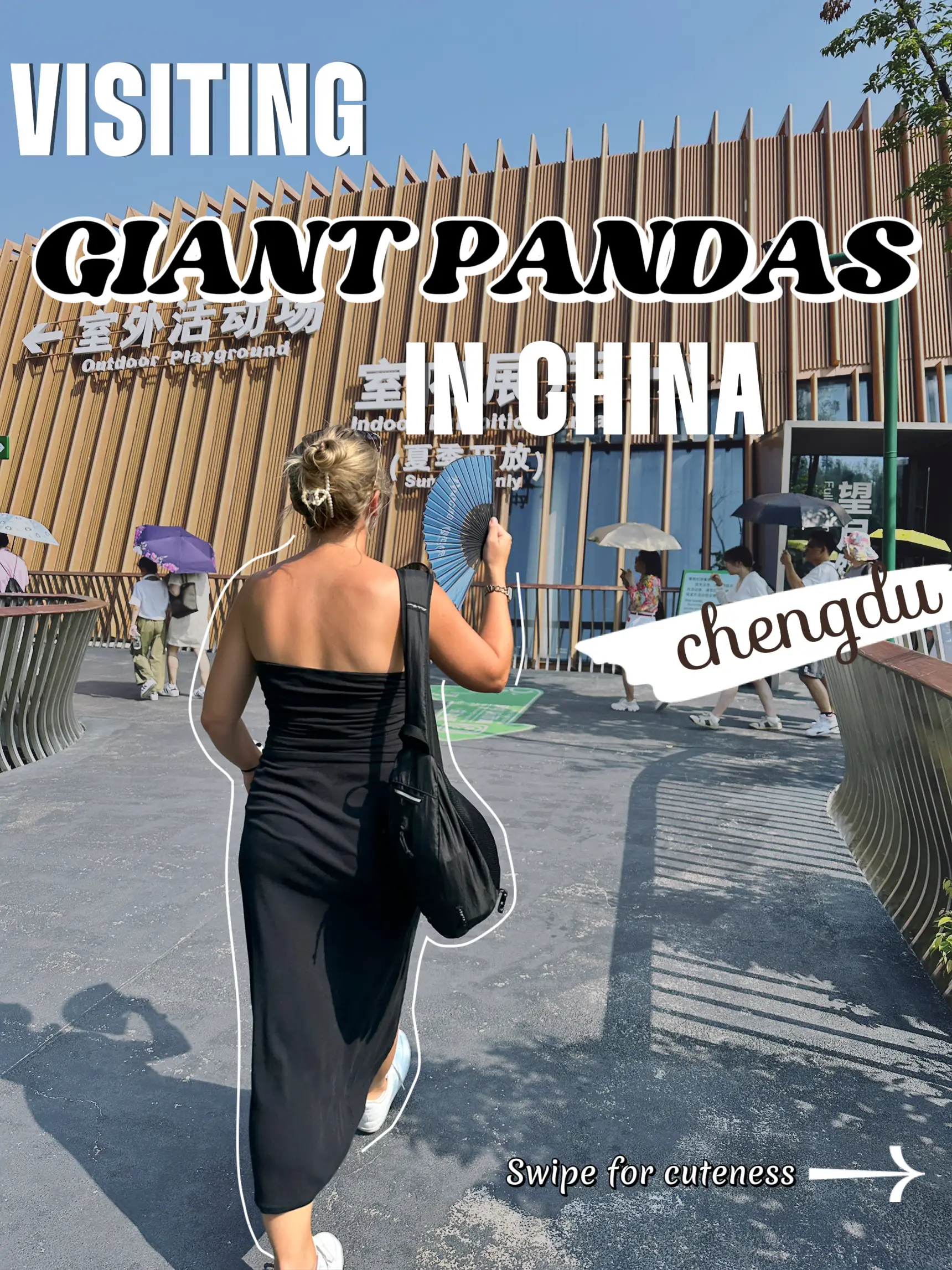 Visit The Most Giant Pandas WORLDWIDE Here 👇🏽 | Gallery posted by Solo Travel LNL | Lemon8