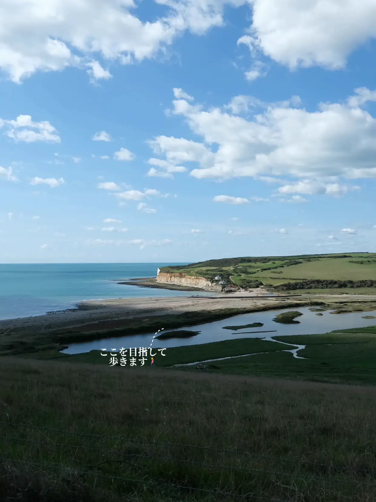 จุด🇬🇧น้องสาวเจ็ดคน | แกลเลอรีที่โพสต์โดย Tutu | Lemon8