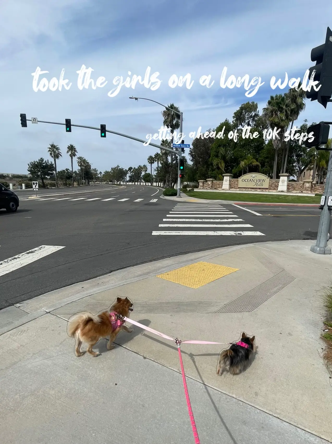 Morning routine before work | Gallery posted by Kailee Castillo | Lemon8