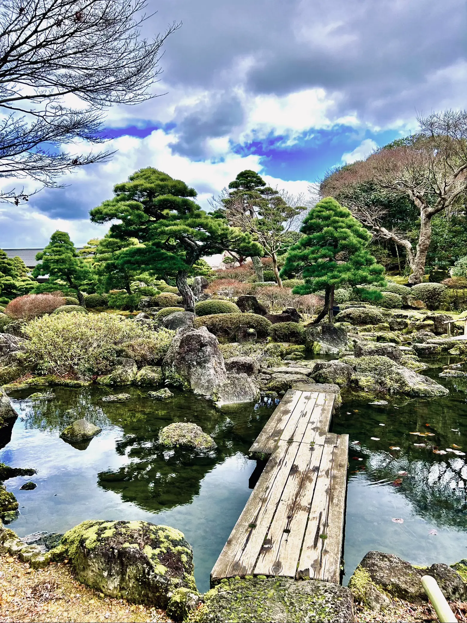 Shimane 】 Ginseng Daikon Island where you can enjoy peonies all year ...