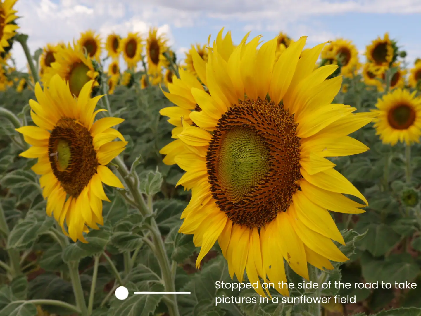 Things I did today | Gallery posted by Loralynne | Lemon8