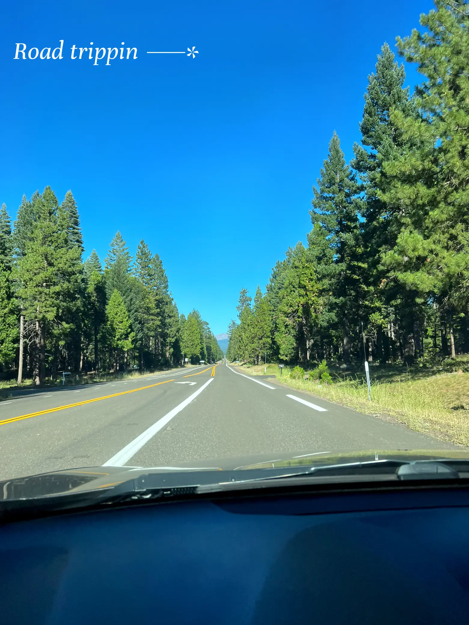 Road trippin | Gallery posted by casey | Lemon8