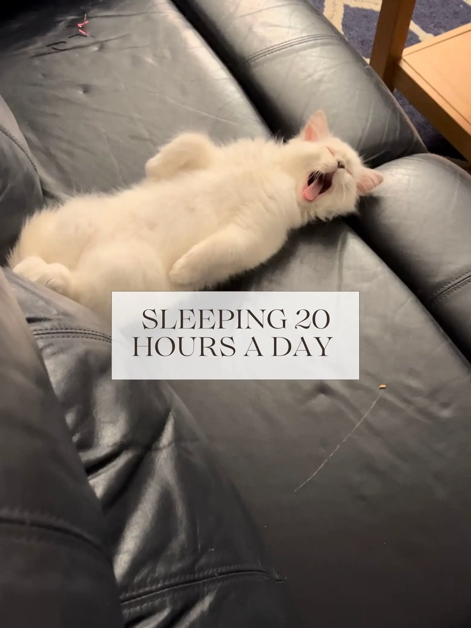 Body Transformation in less than 1 month | Gallery posted by Louie the ...