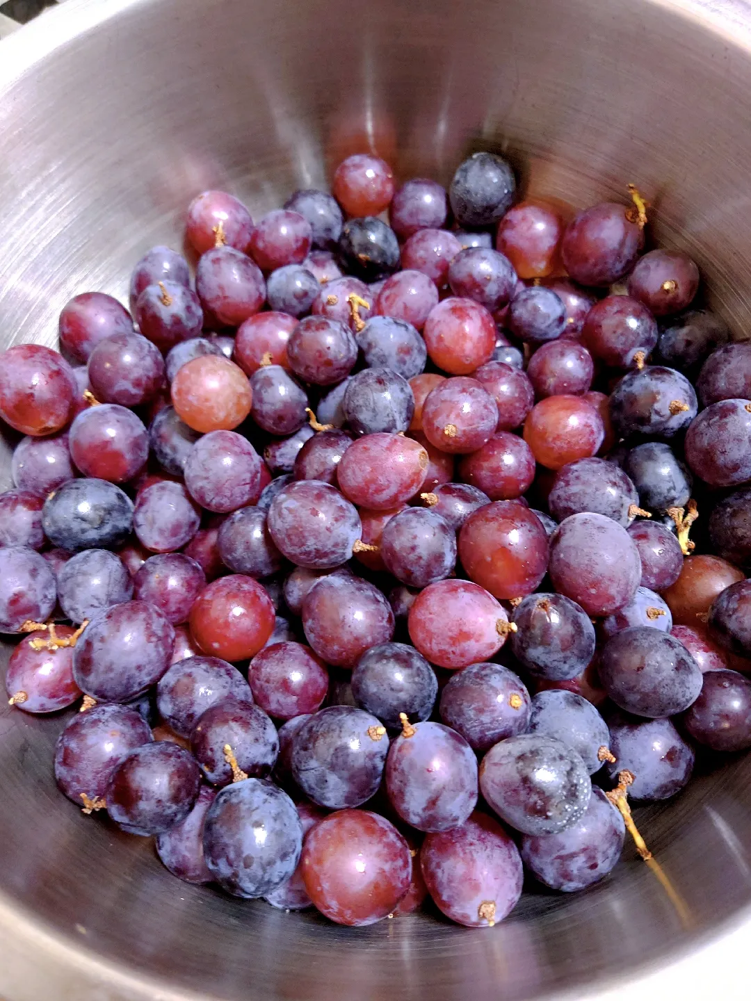 大量、、、🍇 | Ri-eが投稿したフォトブック | Lemon8