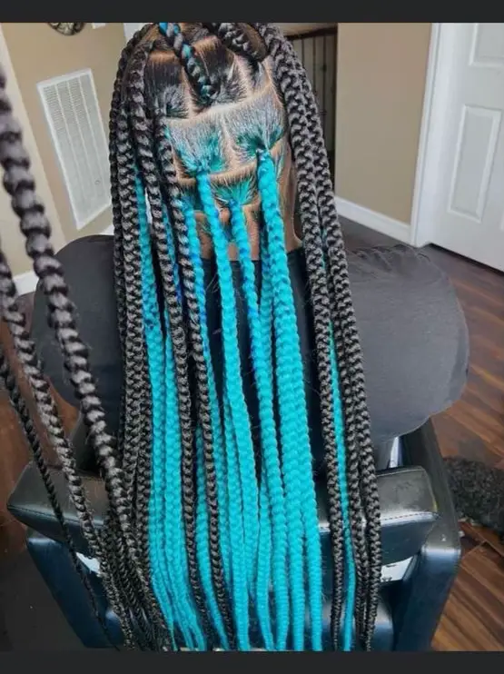 20 top Cute Braid Color Combos ideas in 2024