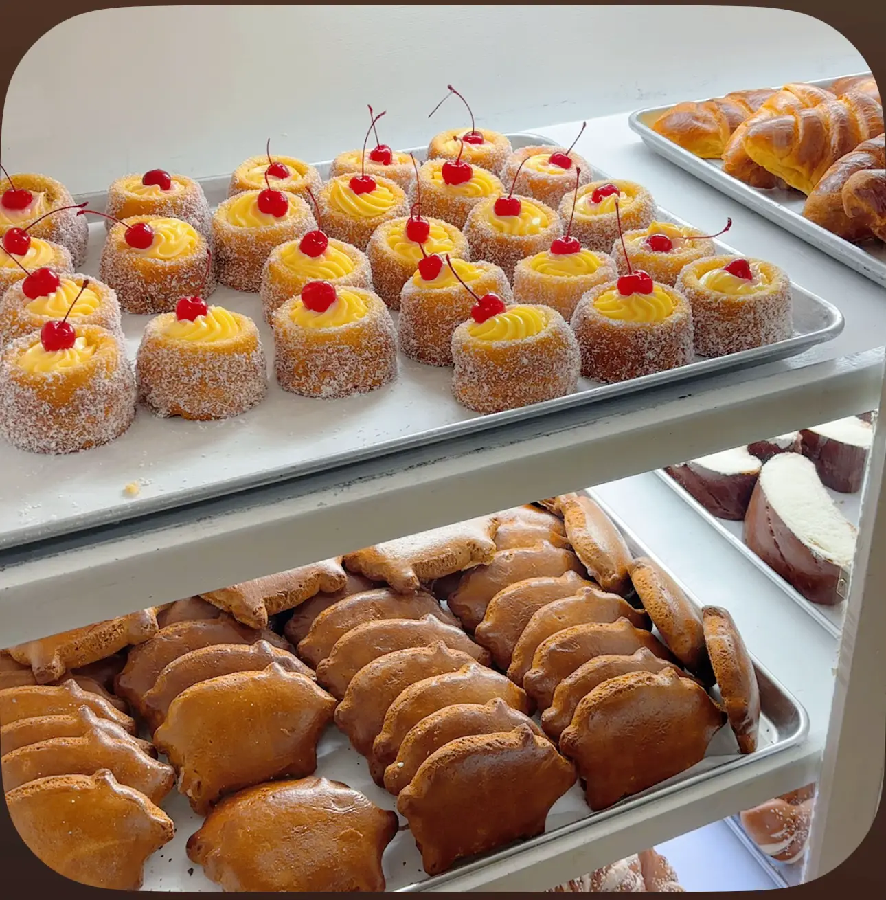 Little bites tb some “biggie” muffins 🤣🤣🤣 | Gallery posted by Nyan | Lemon8