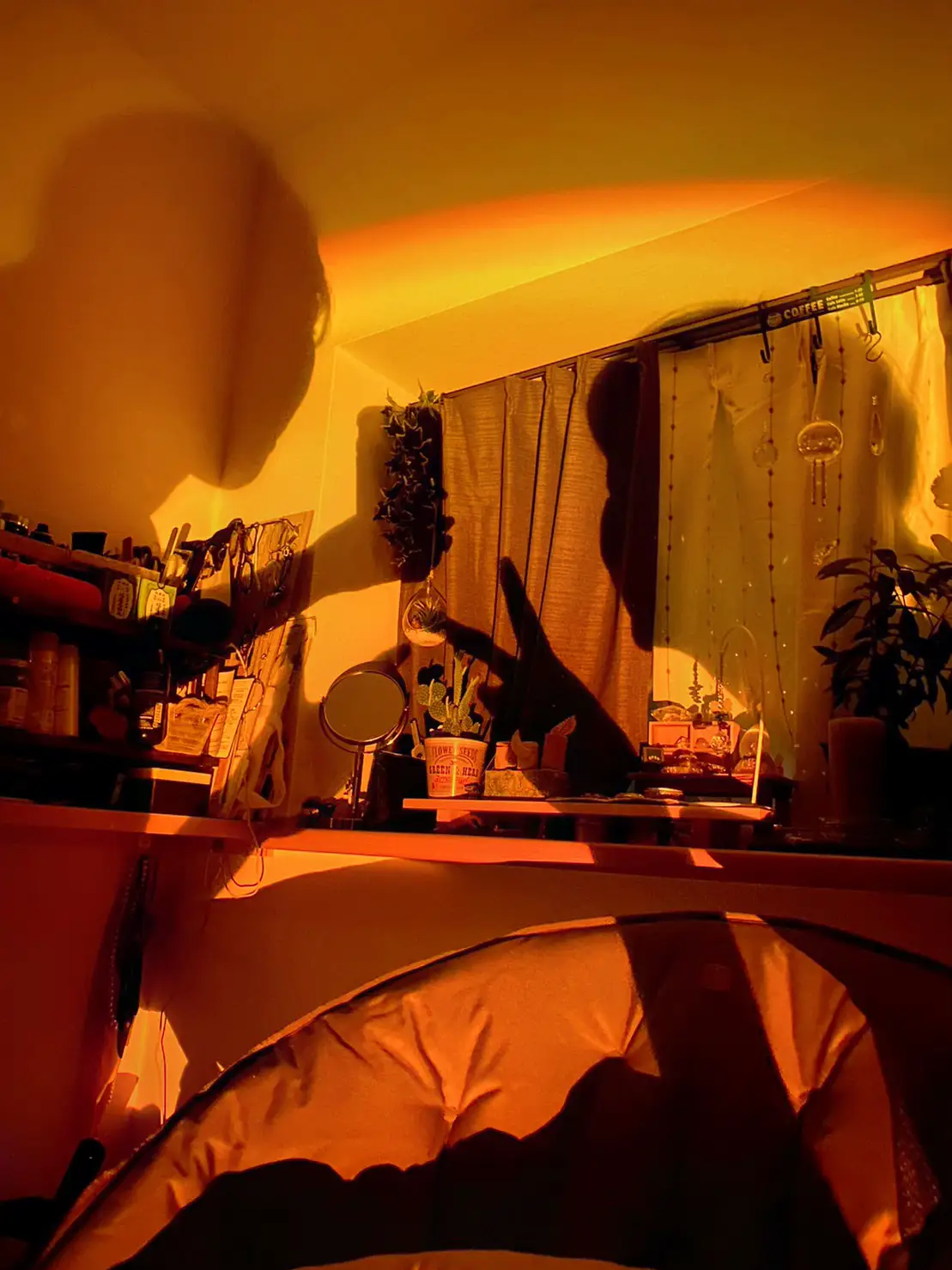 エモい ️ | SEI★が投稿したフォトブック | Lemon8