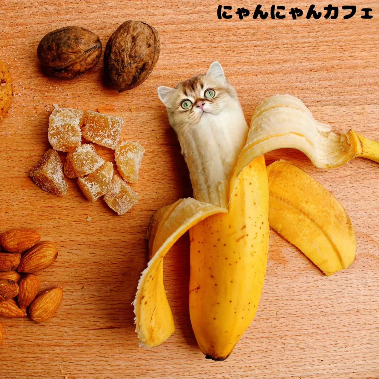 Nyan Nyan Cafe🍽️🍽️ | Gallery posted by ミーア | Lemon8