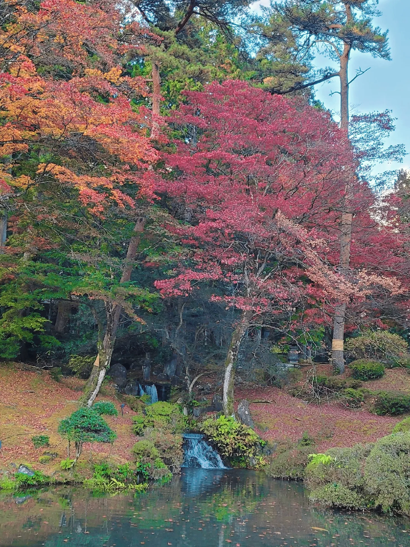 【栃木紅葉】日光東照宮 R5.11/11 | ももが投稿したフォトブック | Lemon8