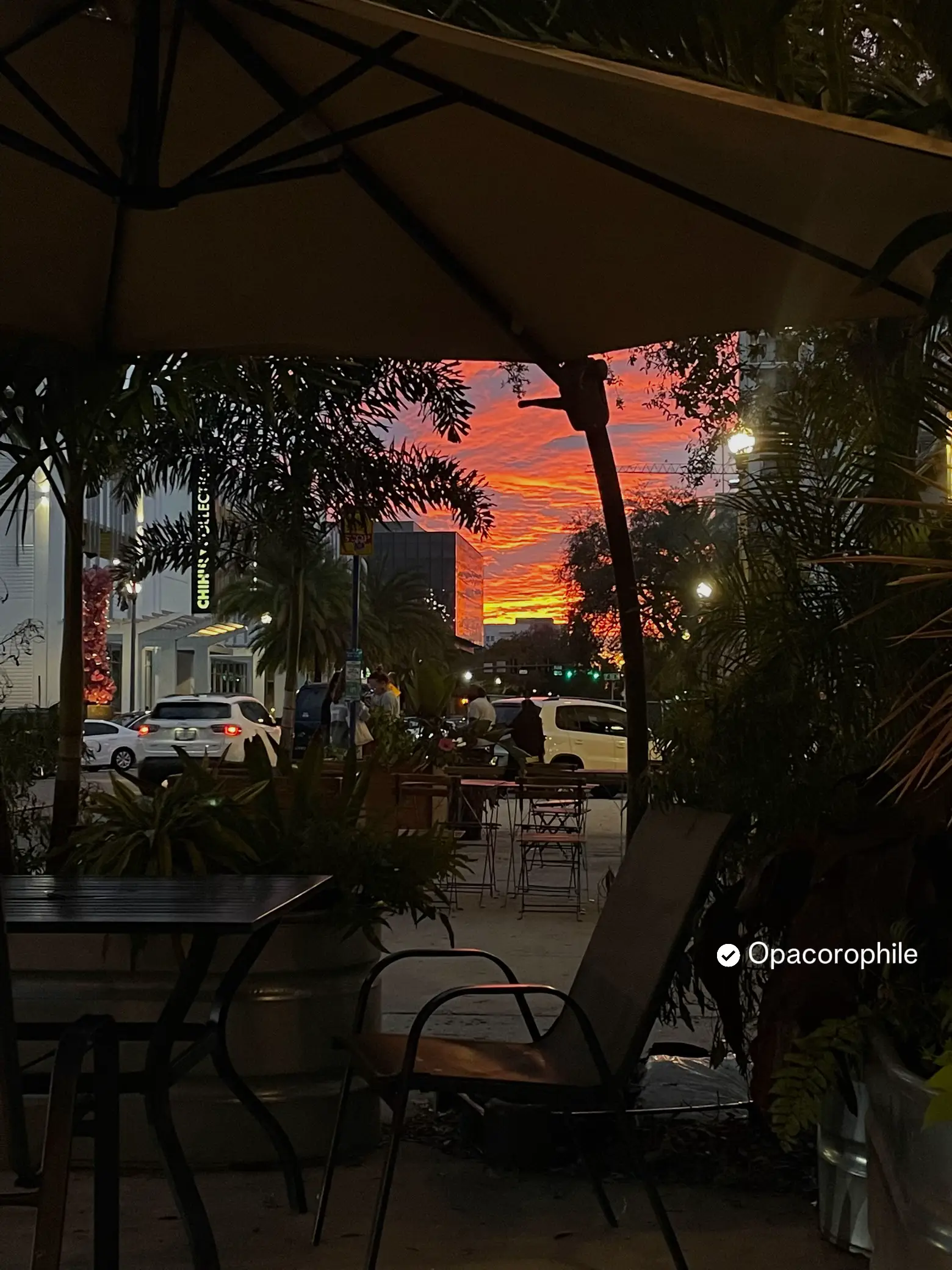 Weekend Recap | Gallery posted by Sam | Lemon8