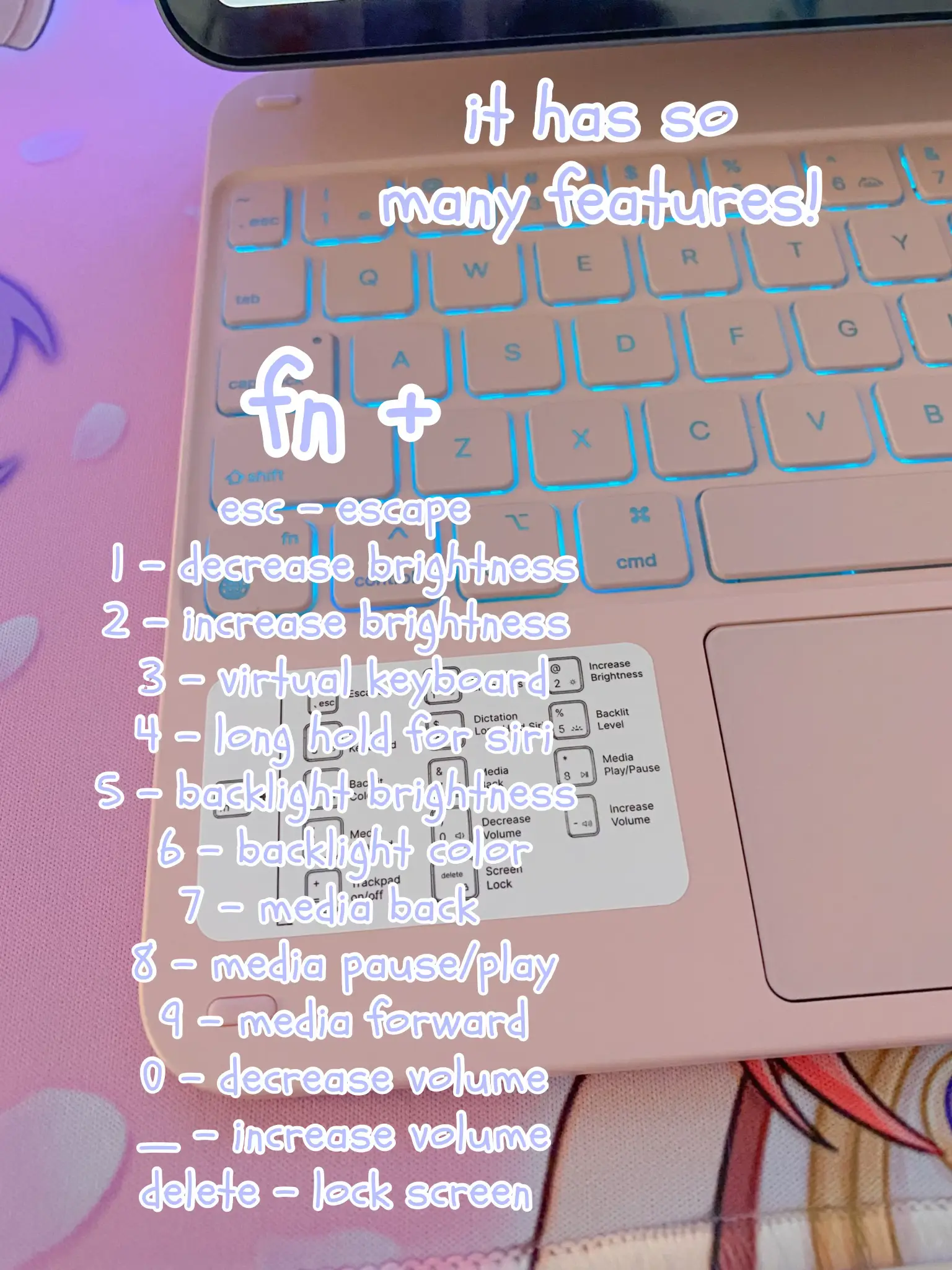 apple magic keyboard dupe? | typecase edge | Gallery posted by josie 𓇢𓆸 | Lemon8