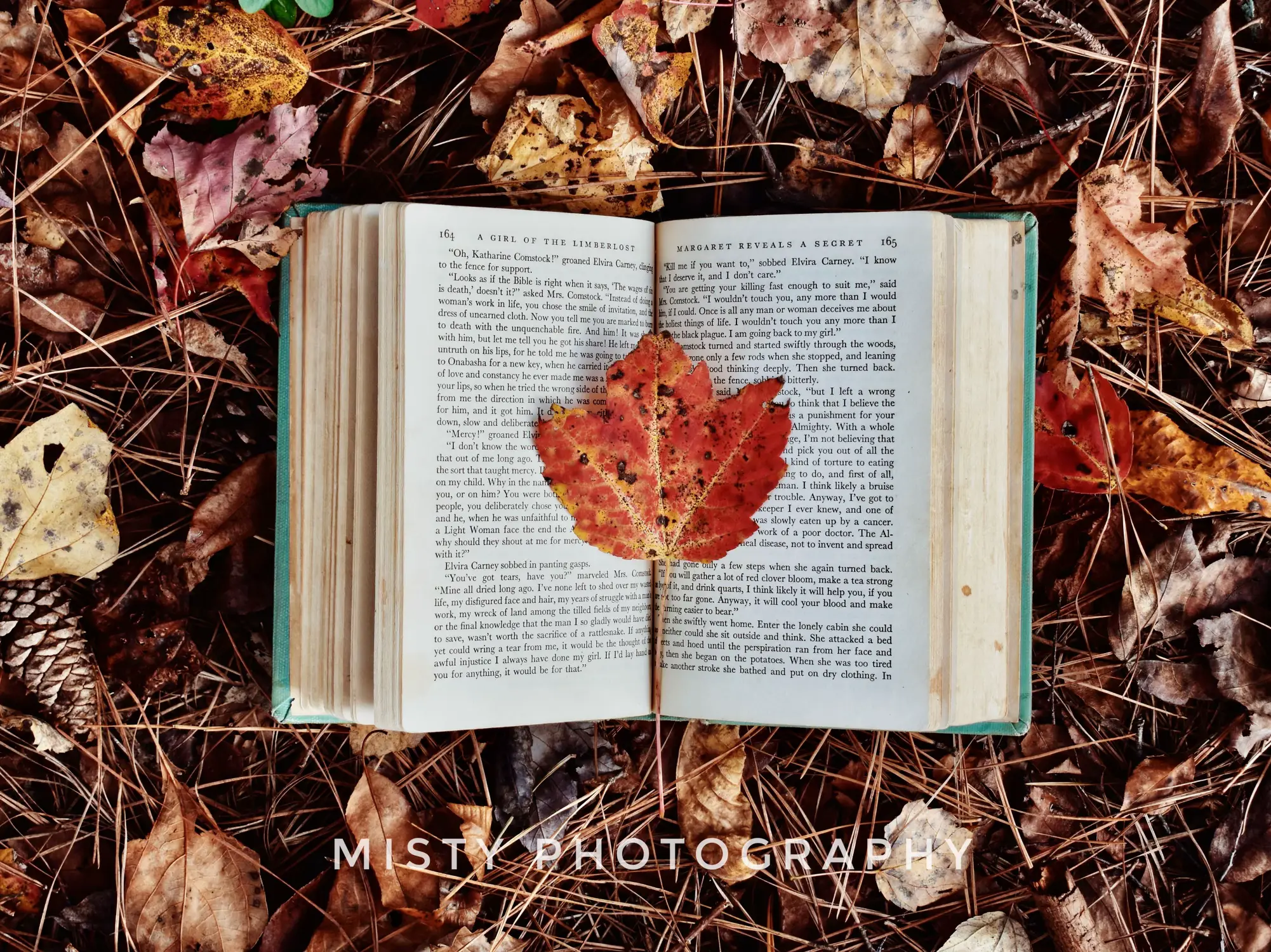 Fall Vibes 🧡 | แกลเลอรีที่โพสต์โดย Misty Jo | Lemon8