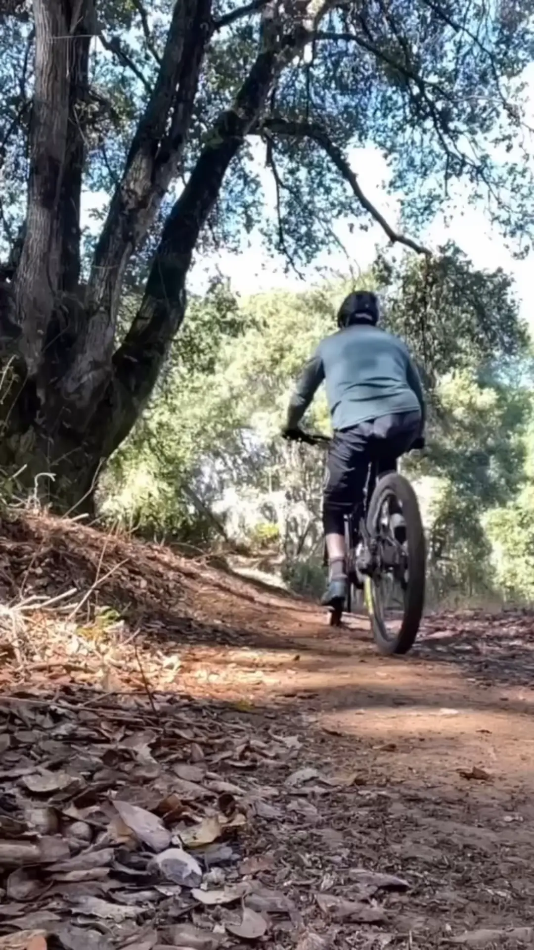 Get up every day and repeat🍋 | Video published by Dr.Bryce D.C. | Lemon8