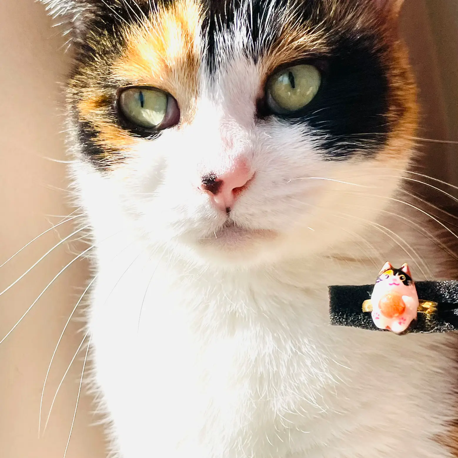 My Mickey cat Sakura-chan ring💍 | Gallery posted by koto(クラール イリゼ) | Lemon8