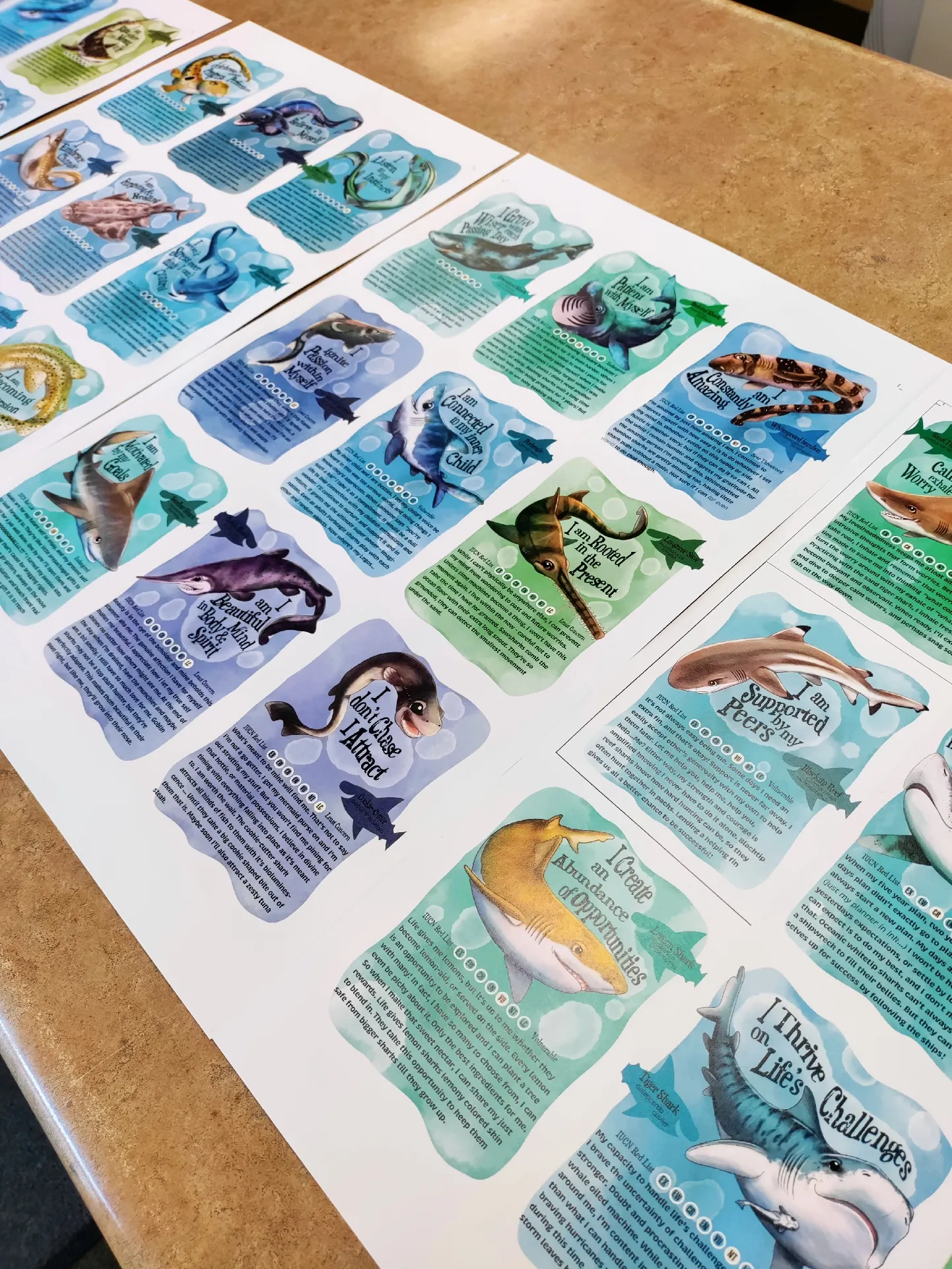 Shark Affirmation cards gone to print 🦈 | แกลเลอรีที่โพสต์โดย ...