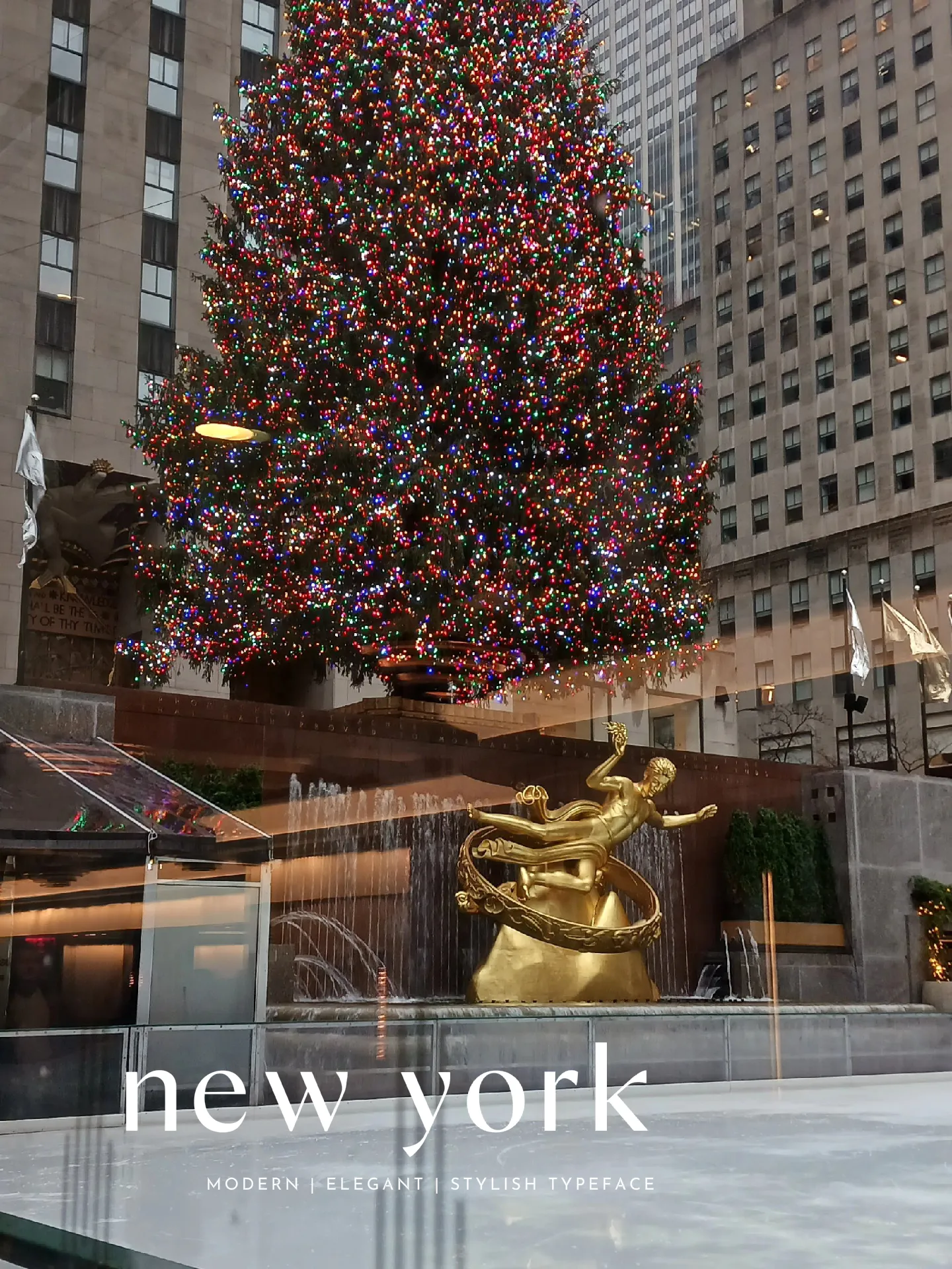 new york trip | Gallery posted by Piper Waterhous | Lemon8