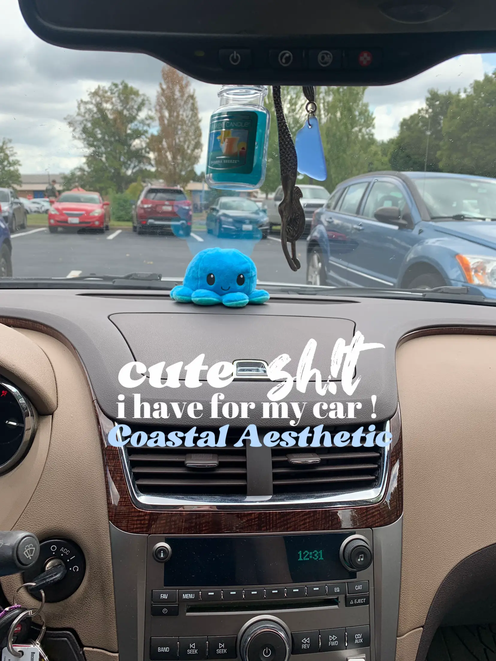 cute sh!t i got for my car !! | Gallery posted by Sav | Lemon8