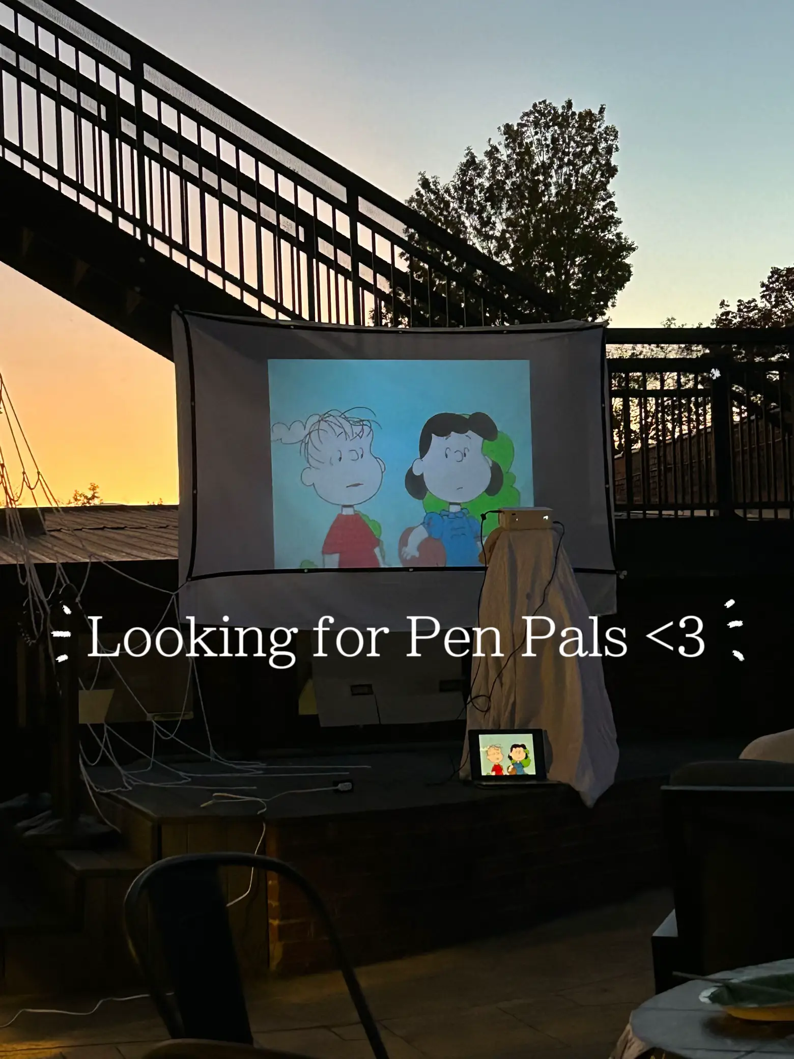 Looking for Pen Pals