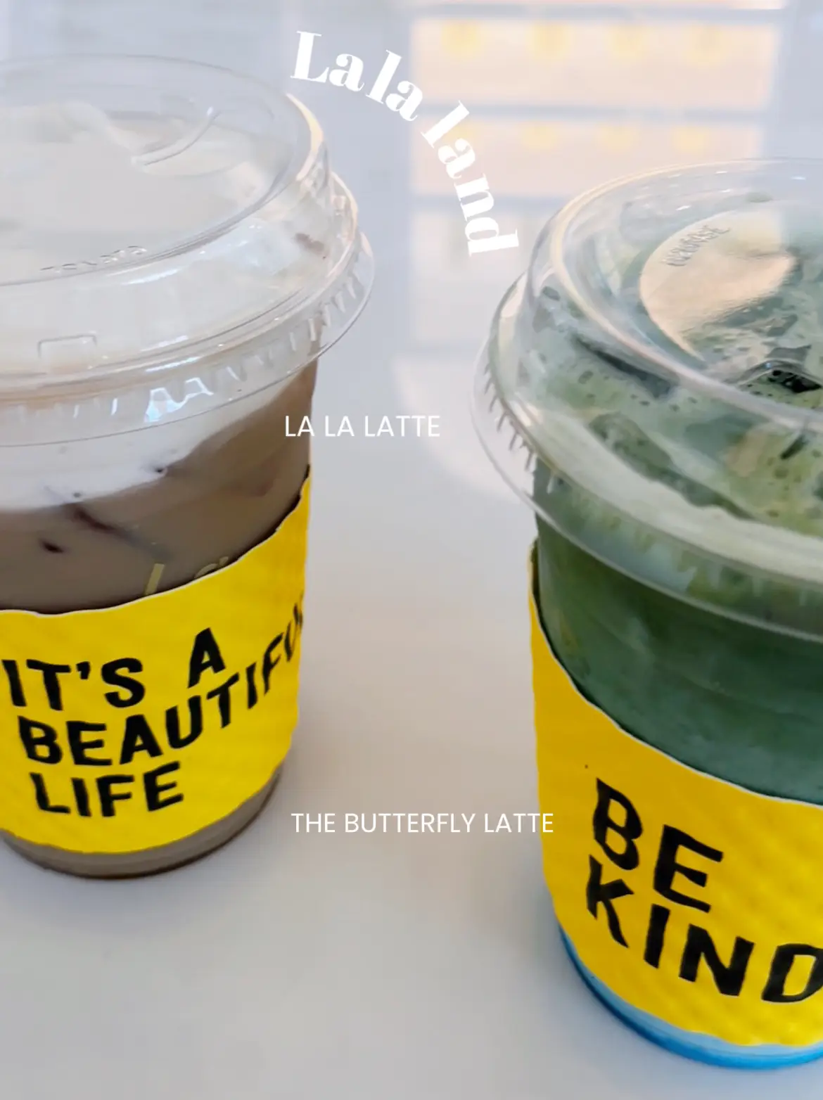 Lala land | Gallery posted by Cami Patron | Lemon8