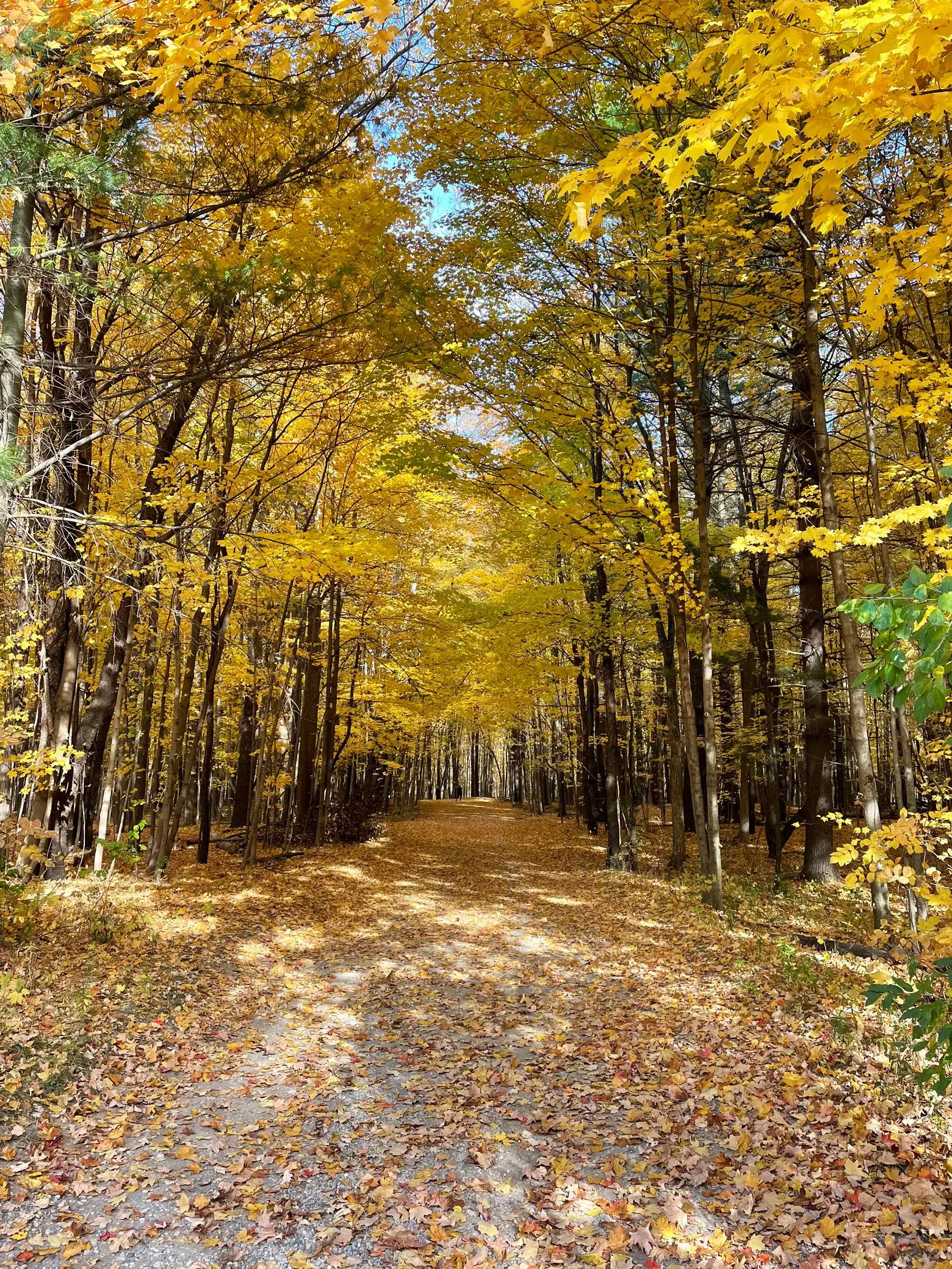 Hiking During Fall | Gallery posted by anastasia abdoo | Lemon8