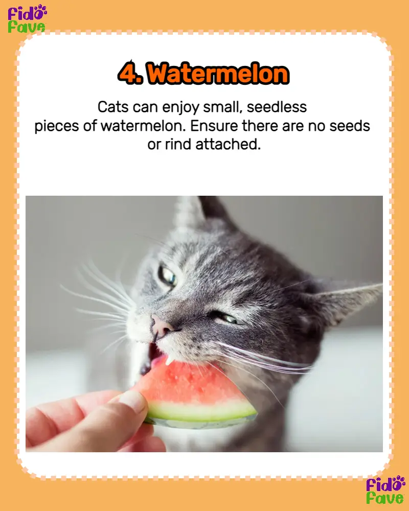 Safe Fruits for Cats: Fruity Feline Delights | Gallery posted by Fido ...