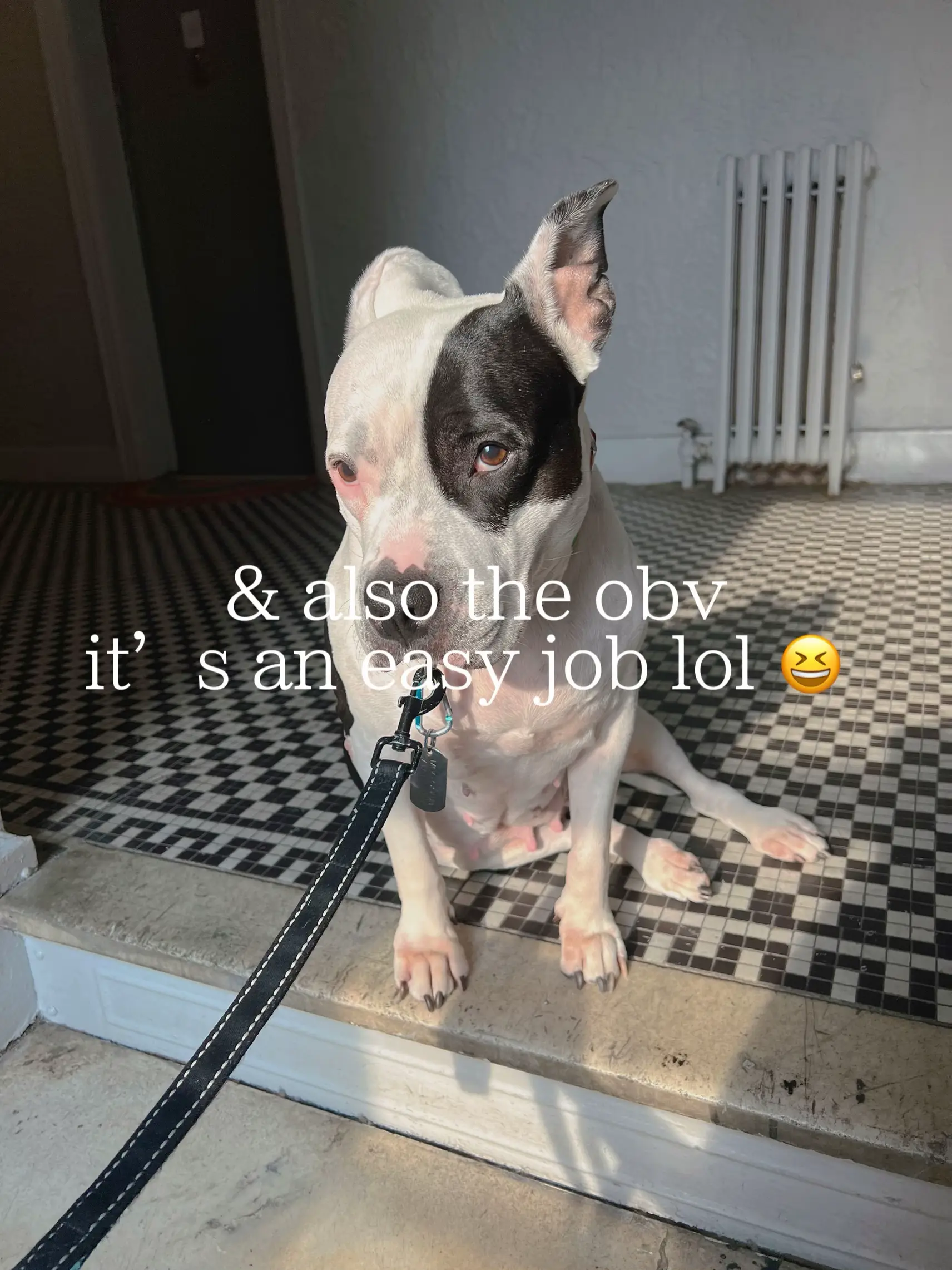 Fun easy job! | Gallery posted by Vane Cabrera | Lemon8