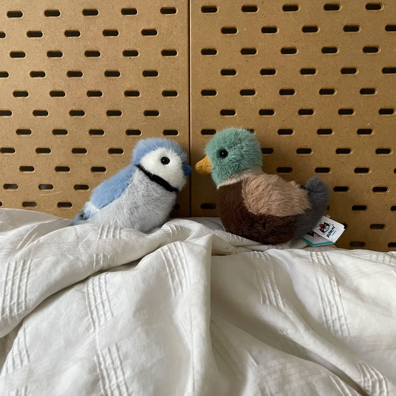 my jellycat collection 🫧🛒 | แกลเลอรีที่โพสต์โดย yeoni | Lemon8