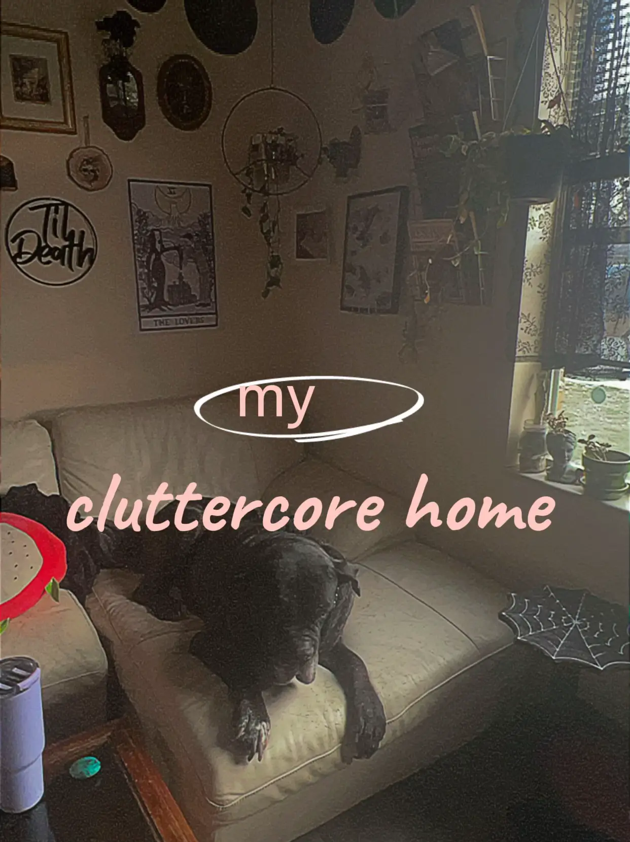 cluttercore home | Gallery posted by sage moss | Lemon8