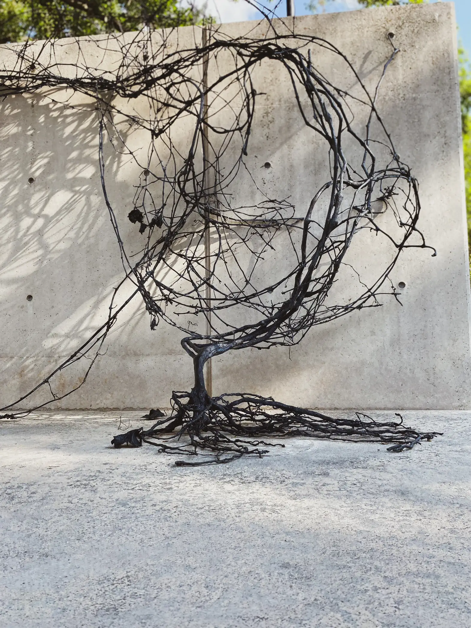 MENS Terry Cloth Summer Set | Gallery posted by A. Kendrick | Lemon8