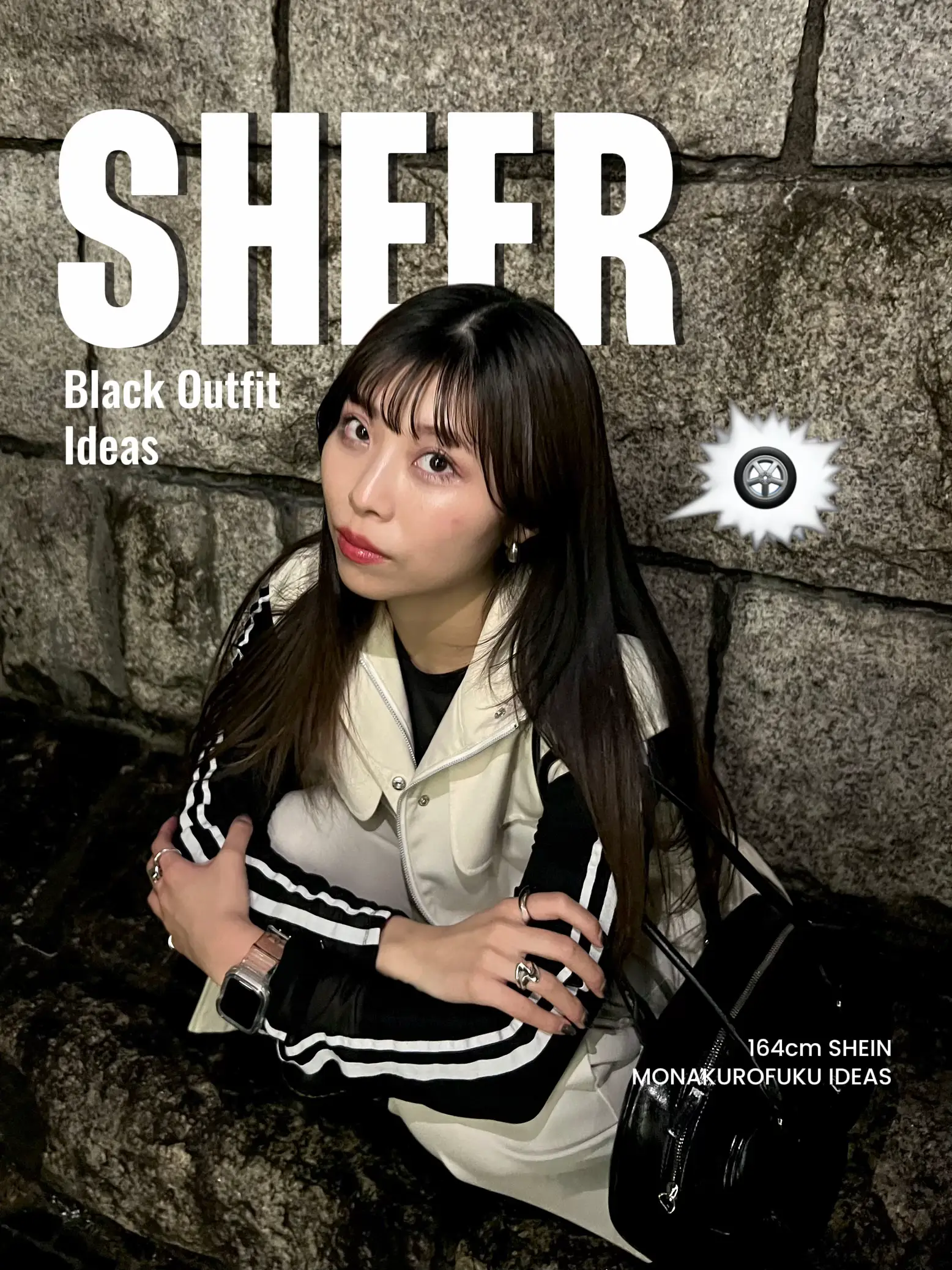 【SHEIN購入品】黒好きｵﾝﾅによる、可愛すぎるSHEINのシアーライントップス🔘🖤 | MONAMIが投稿したフォトブック | Lemon8