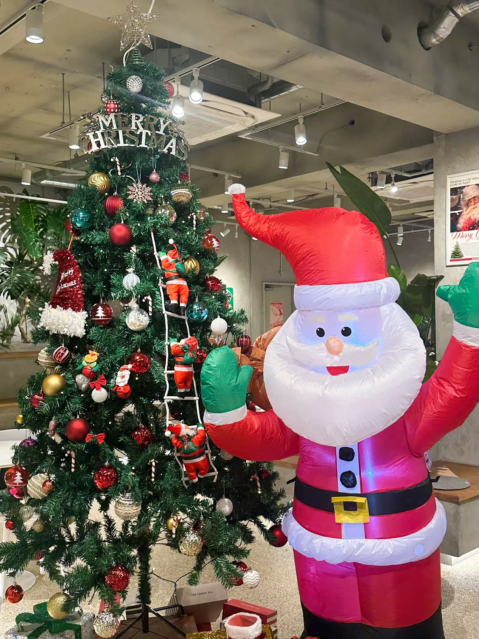 [Christmas limited! Fastest review 🎄] Popular sweets on SNS🎅🏻🤍 ...