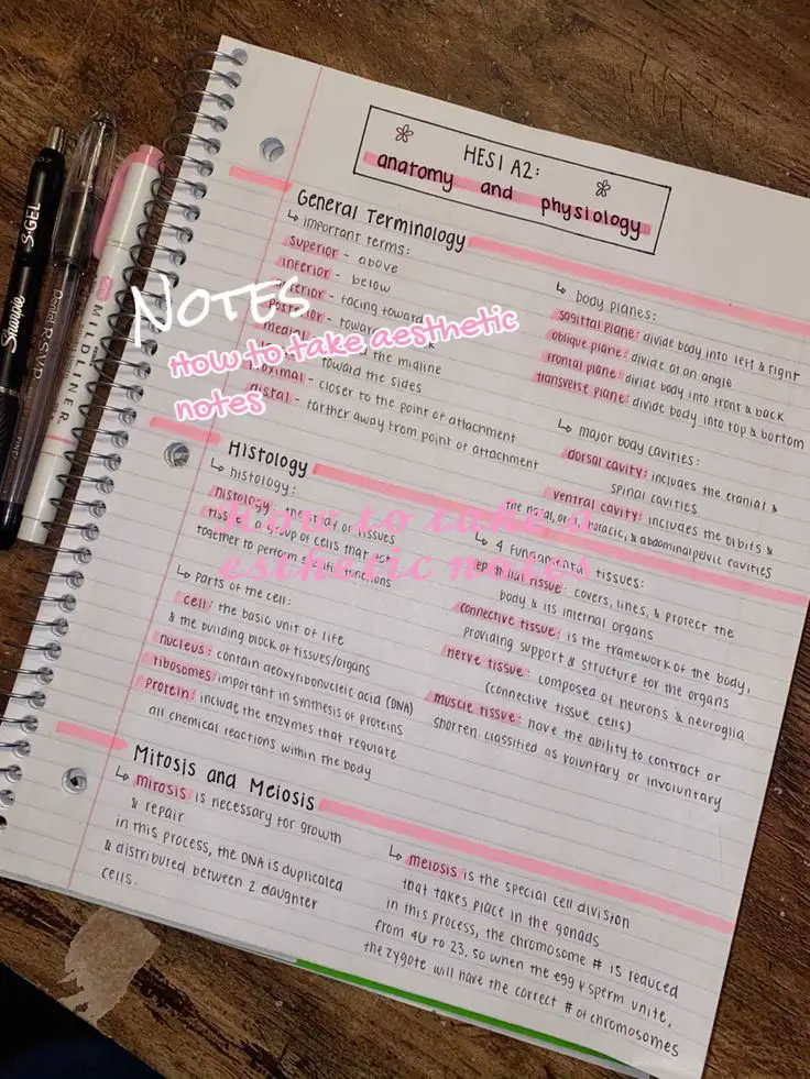 𝓗𝓸𝔀 𝓽𝓸 𝓽𝓪𝓴𝓮 𝓪𝓮𝓼𝓽𝓱𝓮𝓽𝓲𝓬 𝓷𝓸𝓽𝓮𝓼 | Gallery posted by Nat | Lemon8