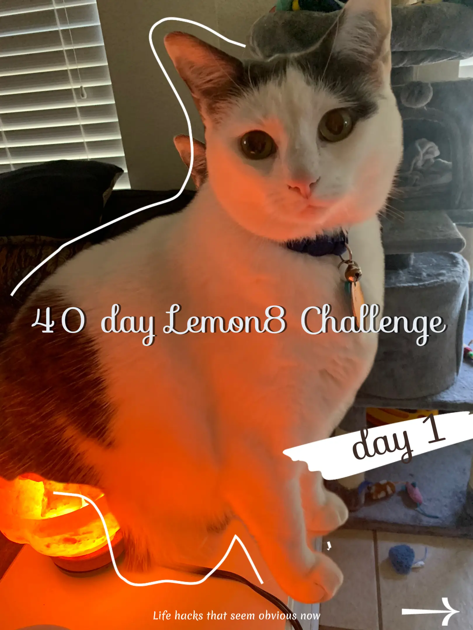 Life hacks I learned that seem obvious now. | Gallery posted by Gee | Lemon8