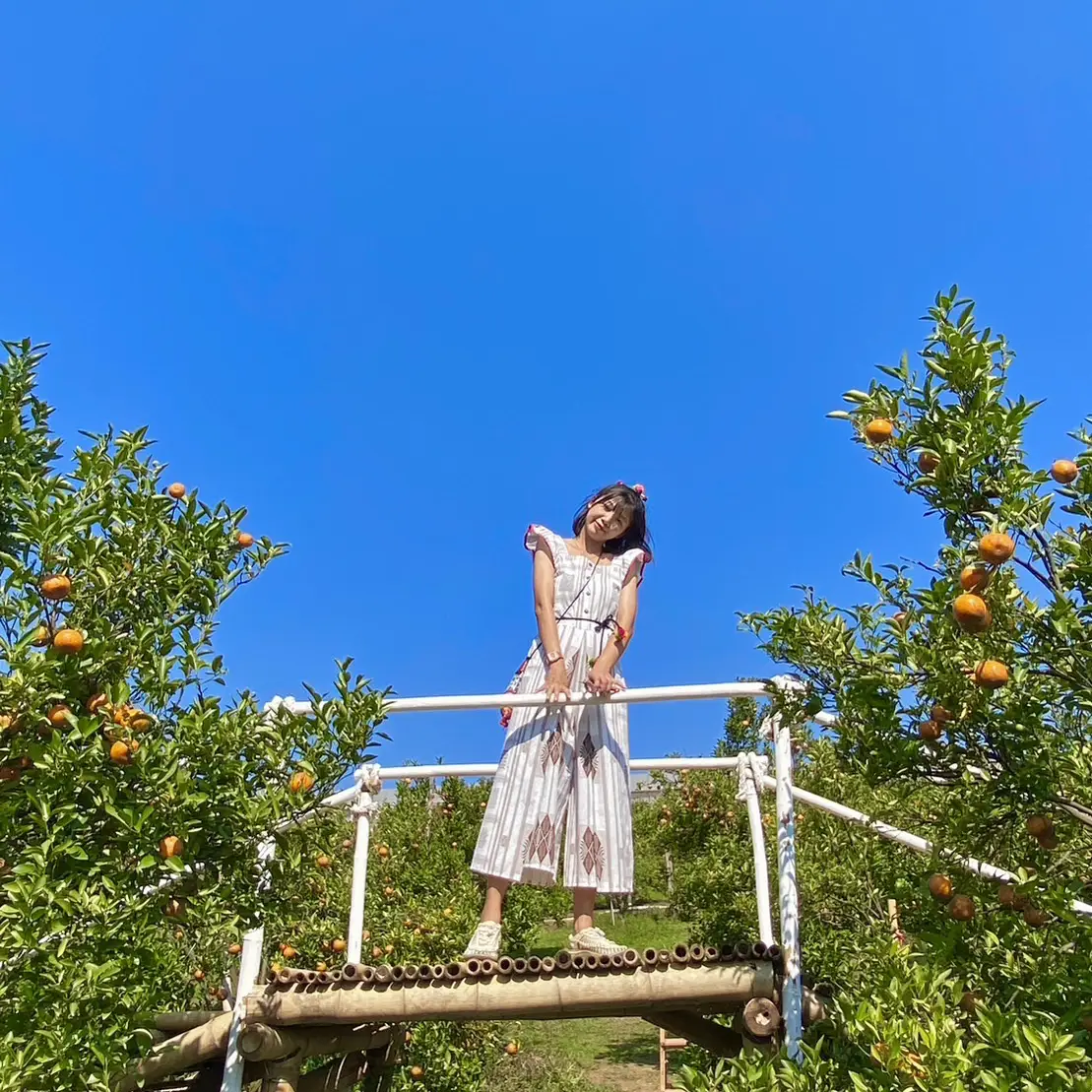 รีวิวทริป เชียงใหม่ 5 วัน 4 คืน ด้วยงบ 5,000 บาท | แกลเลอรีที่โพสต์โดย Mew Yaowapa | Lemon8